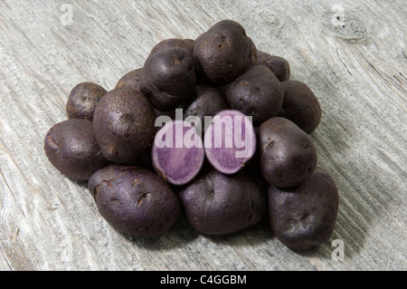 Potato (Solanum tuberosum Blue Congo). Close-up of potatoes, one of ...