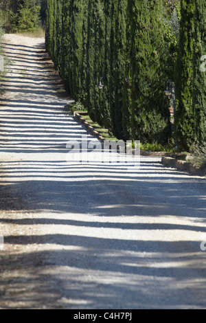 Tuscan house and garden, Barigianino, Rosia (Sovicille), Tuscany, Italy ...