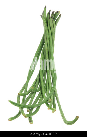 Bunch of long snake beans isolated on white background Stock Photo - Alamy