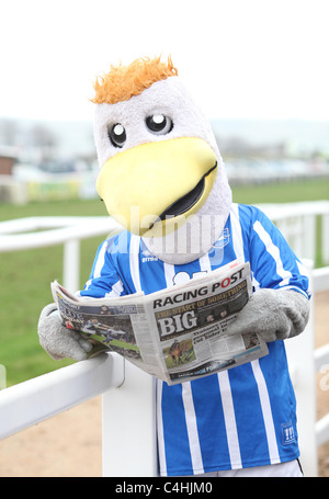 Brighton and Hove albion mascot Gully the seagull Stock Photo ...
