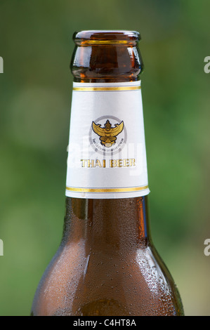 Bottle of Thai Singha Lager beer isolated on a white background Stock ...