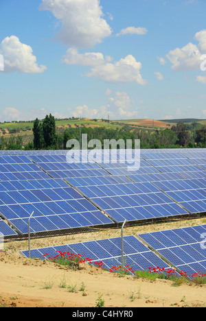 Solaranlage auf Feld - solar plant on field 08 Stock Photo - Alamy