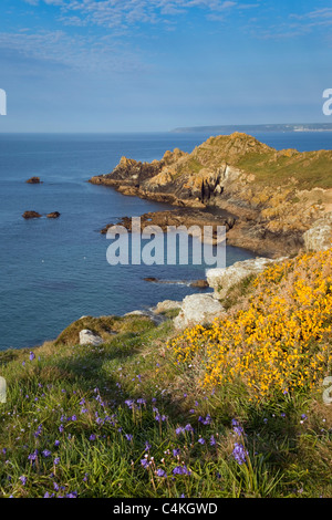 Cudden Point; Near Prussia Cove; Mount's Bay; Cornwall Stock Photo - Alamy