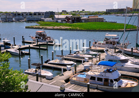 The Atlantic City Aquarium at Gardner's Basin Stock Photo - Alamy