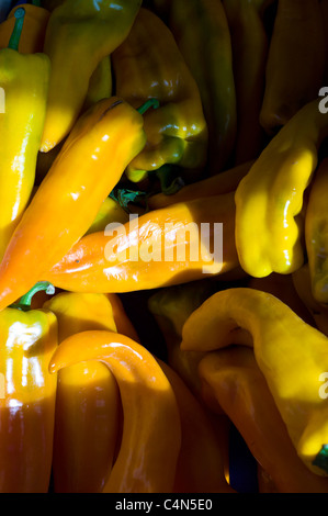 Yellow color capsicum display for sale in singapore Stock Photo - Alamy