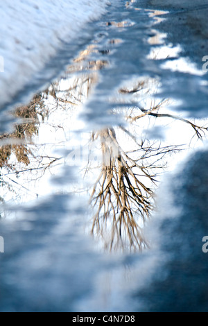 The snow began to melt Stock Photo - Alamy