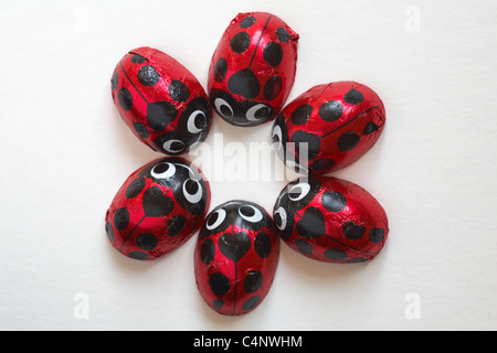 Chocolate ladybug on white background Stock Photo - Alamy