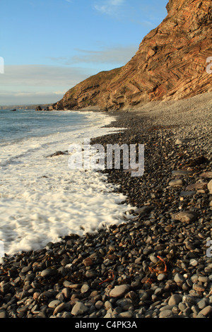 Beach at Millook Haven with cliffs of geological interest, North ...