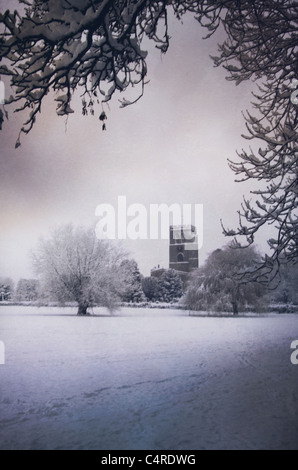 Scenic winter landscape with snow on path through forest and blue sky ...