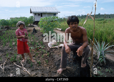 Transmigrant on a transmigration site in Sumatra Stock Photo - Alamy