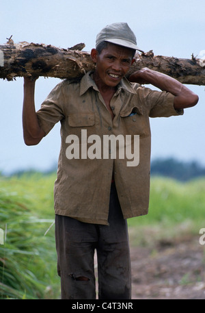 Transmigrant on a transmigration site in Sumatra Stock Photo - Alamy
