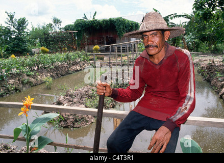 Transmigrant on a transmigration site in Sumatra Stock Photo - Alamy