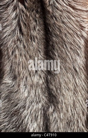 Polar Fox fur as texture or background. Selective focus Stock Photo - Alamy