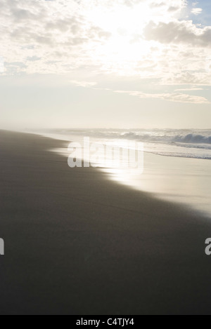 The sun shinning over a beach sand dune covered with tall beach grass ...
