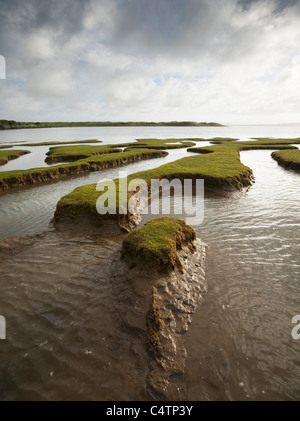 Northam Burrows Country Park, Northam, Devon, England Stock Photo - Alamy