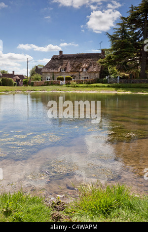 A typical English village duck pond on the green in Biddestone ...