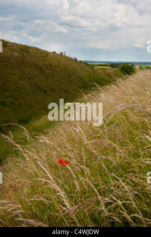 Devil's Ditch (also called Devil's Dyke) an Anglo-Saxon earthwork in ...
