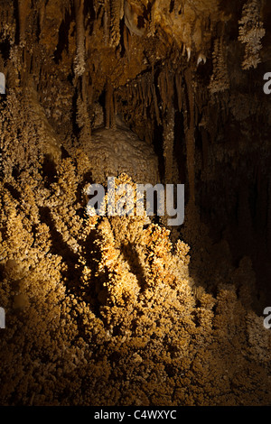 Popcorn calcite cave formations Caverns of Sonora Texas USA Stock Photo ...