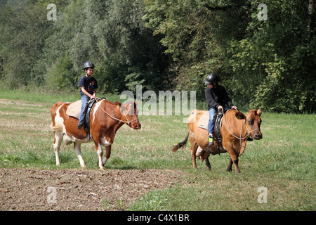 Children cow trekking in the countryside surrounding Hemishofen Stock ...