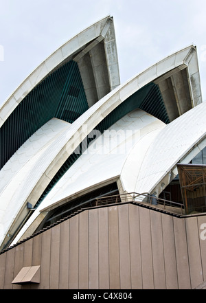The Beautiful Architectural Curved Lines and Panels of The Sydney Opera ...