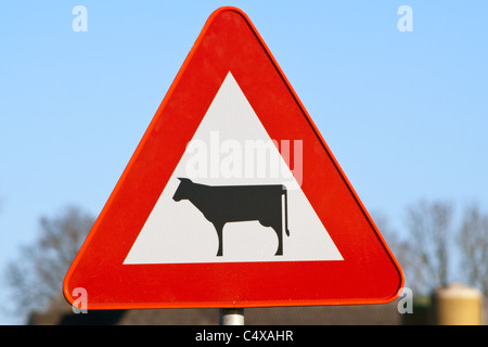 Cow Warning sign red. Farm Hazard attention symbol. Danger road sign ...