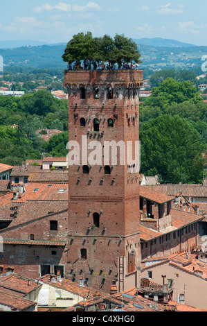 Torre Guinigi in Tuscan Lucca. There are trees on the roof. Italy ...