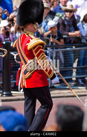 Drum major leading the guards band back to St.James's palace Stock Photo - Alamy