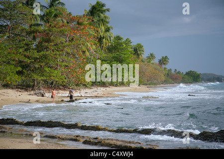 Beach scene in Puerto Rico Stock Photo - Alamy
