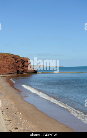 red rock beach dawlish devon england uk Stock Photo - Alamy