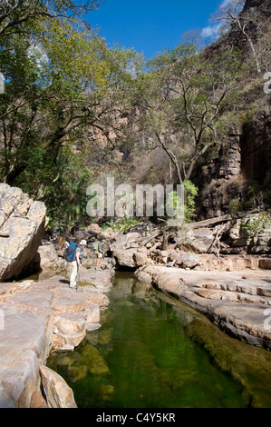 Lush gorge in Zimbabwe's Chizarira National Park Stock Photo - Alamy