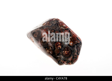 Cutout of a leopard skin gemstone on white background Stock Photo - Alamy