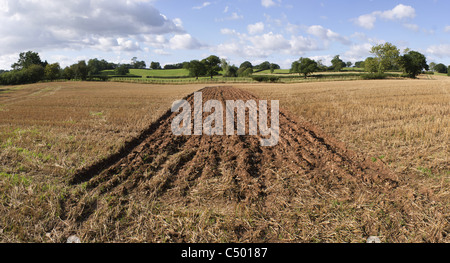 ploughed field farm agriculture warwickshire england uk Stock Photo - Alamy