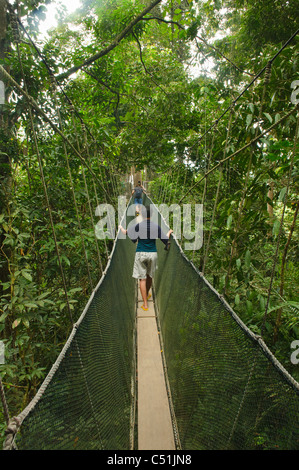 enjoying a jungle canopy walk at Poring Hot Springs in Sabah, Borneo ...