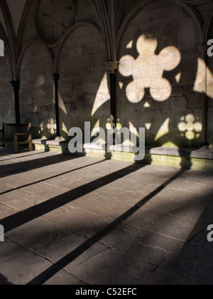 Shadows cast by stone pillars in Salisbury Cathedral Cloisters Stock ...