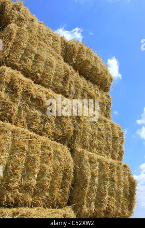 haystacks piled straw Stock Photo - Alamy