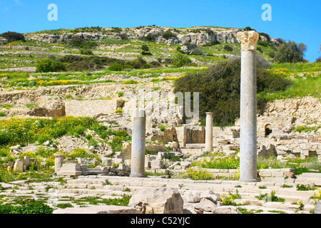 Amathus ruins in Cyprus Stock Photo - Alamy