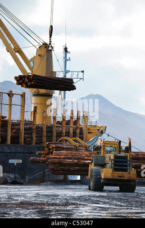 Log ship being loaded with Sitka Spruce from Chiniak and Sequel Point ...