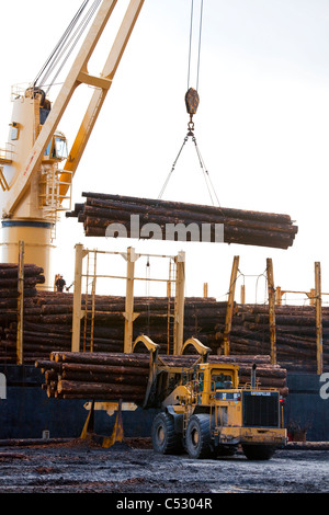 Log ship being loaded with Sitka Spruce from Chiniak and Sequel Point ...
