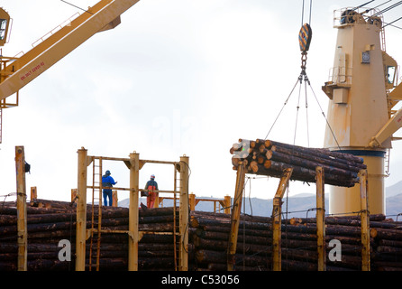 Log ship being loaded with Sitka Spruce from Chiniak and Sequel Point ...