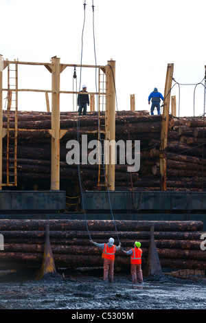 Log ship being loaded with Sitka Spruce from Chiniak and Sequel Point ...