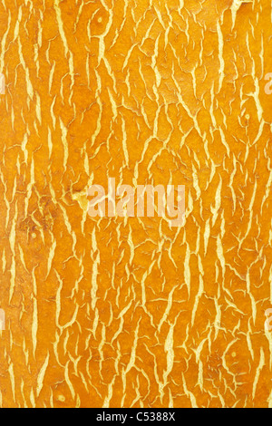 Chinese yellow cucumber Stock Photo - Alamy