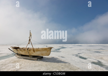 Inupiaq Eskimo Skin Boat made from bearded seal skin resting on the ...