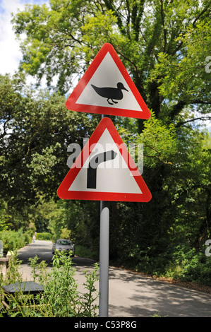 Beware of wildfowl traffic warning sign in Kent, England, showing birds ...