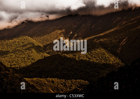 Cloud forest Alto Mayo Protection Forest Reserve Amazonas Peru Stock ...