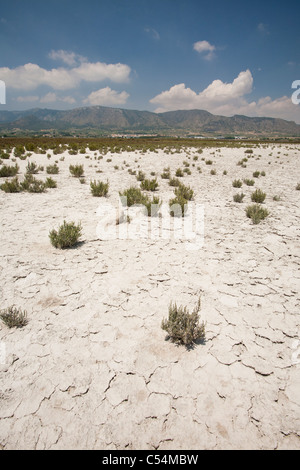Dried up salt lake in summer and pink salt pools in Maharlu region near ...