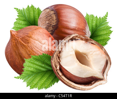 Group of filberts with leaves. Image contains a path to cut Stock Photo ...