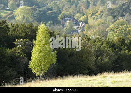 Juniper Hill Surrey Juniper Hall Stock Photo - Alamy