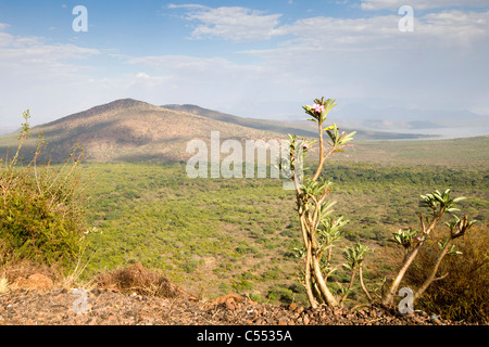 The Bridge Of God and The Nechisar National Park, Arba Minch, Ethiopia ...