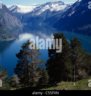 View of the Geirangerfjord from the Eagle Road viewing platform, Norway ...