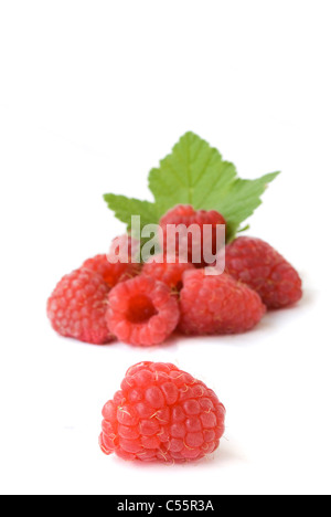 Ripe red raspberries isolated on white background Stock Photo - Alamy